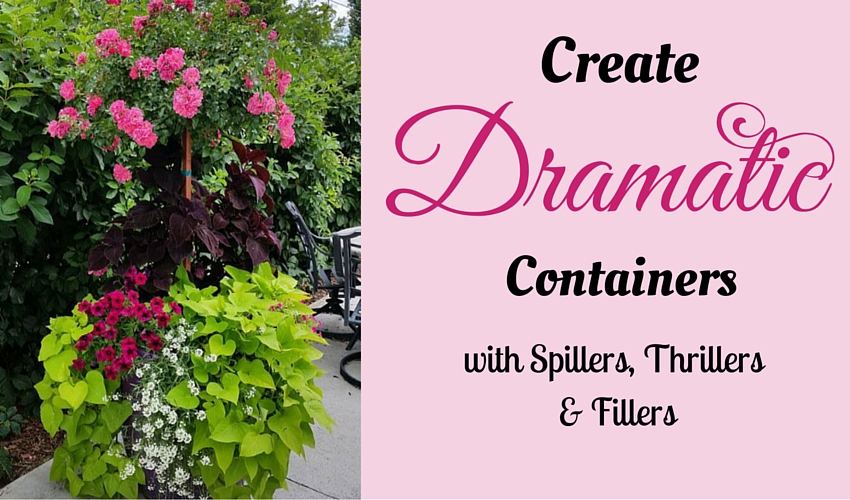 Create Dramatic Containers With Spillers, Thrillers and Fillers - Cofer ...