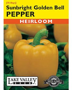 LV Seed Pepper Sunbright Gold - Cofer's Home & Garden