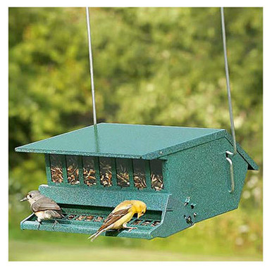 Squirrel Proof Feeder Audabon - Cofer's Home & Garden
