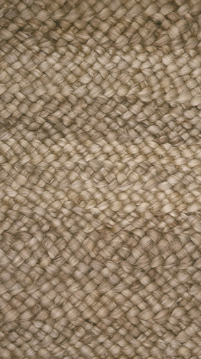 Stanton Mochima Khaki Jute Rug