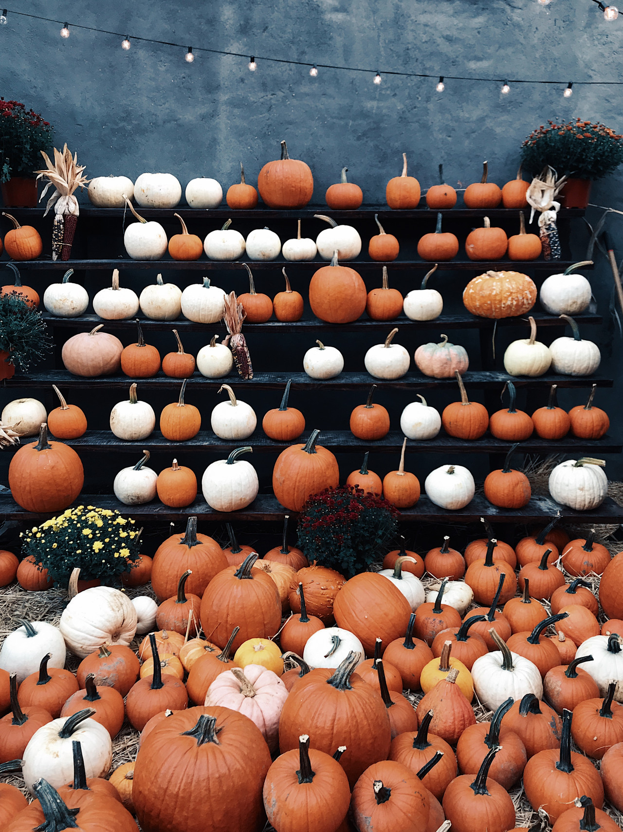 14 Fun Fall Festivals & Events in the Seattle Area - Cutter & Buck