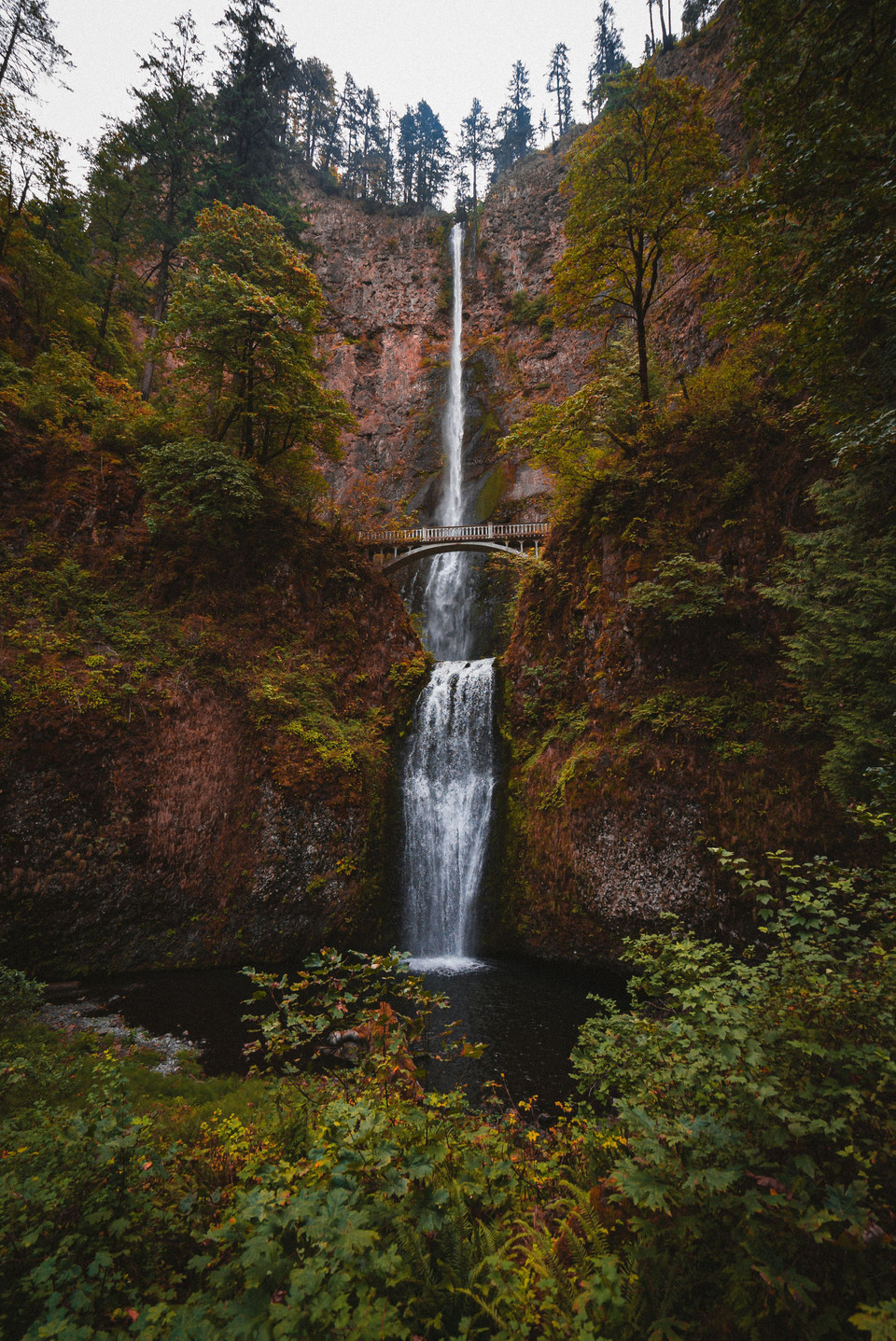 Fall Hiking Tips For Trekking the Pacific Northwest - Cutter & Buck