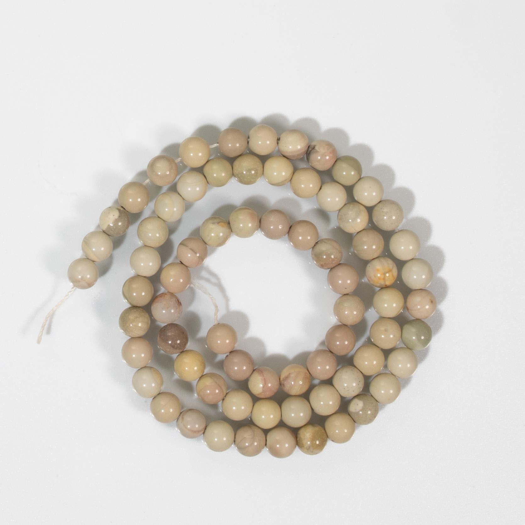 Unveiling the Wonders of Texas Petrified Palm Wood - Rincon Trading