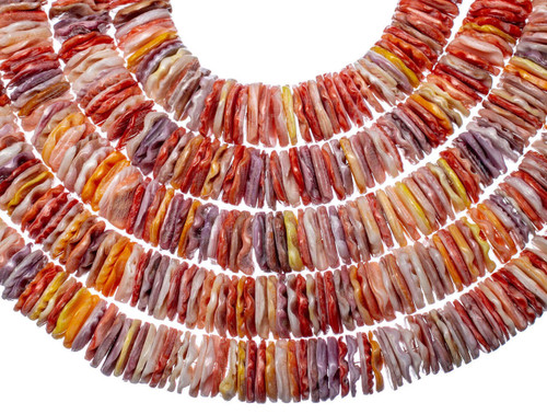 Multi-Colored Pectin Shell Heishi( Philippines) 9mm PEC9