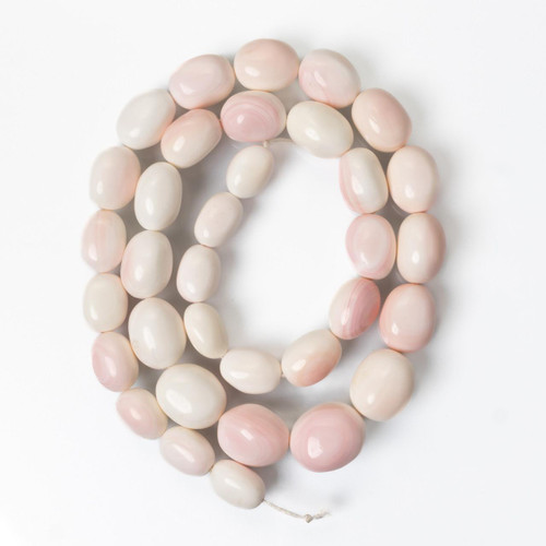 Conch Shell(Bahamas) 9x3mm to 7x11mm CS3c