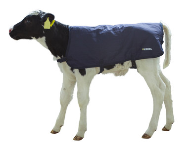 Calf Coat Lightweight 32"/80cm - Blue - Homestead Farm Supplies
