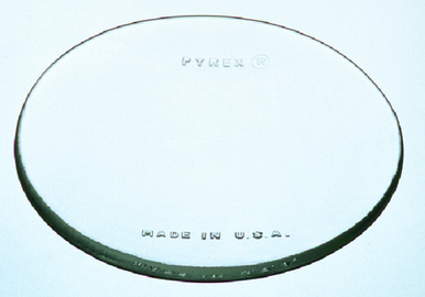 Watch Glass/Beaker Cover with Fire-Polished Edges - Absolute Scientific ...