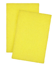 SURE SCRUB SCRUB PAD - 3D PRODUCTS CANADA