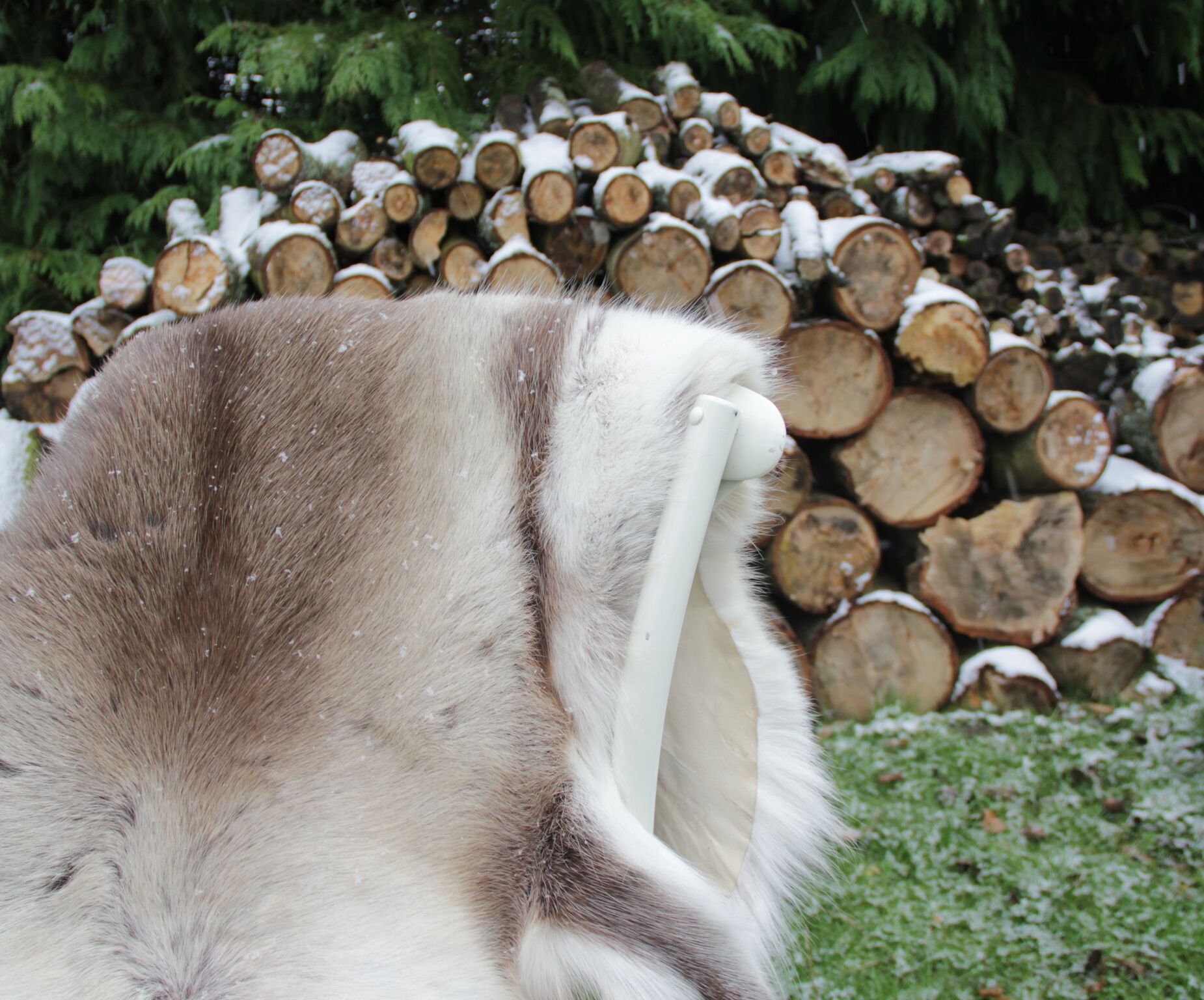 How Designers Use Reindeer Hides - City Cows