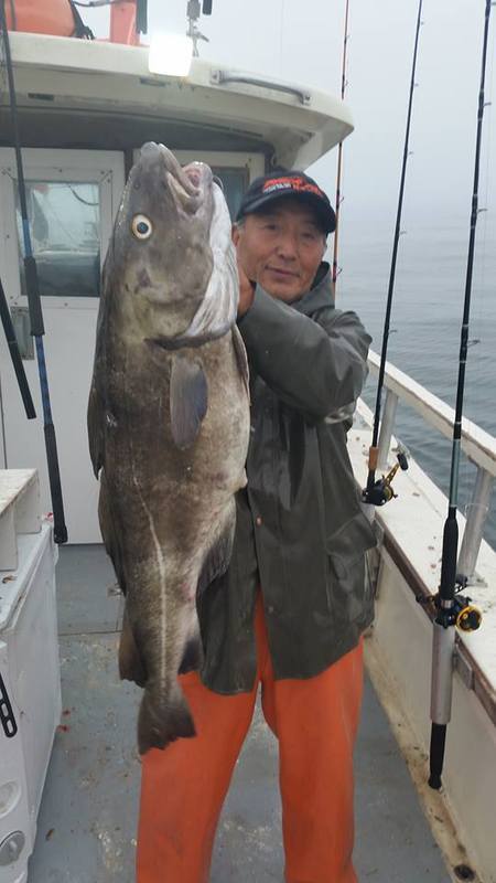 1/5/2017: Here are some Cod Rods! - JIGNPOP