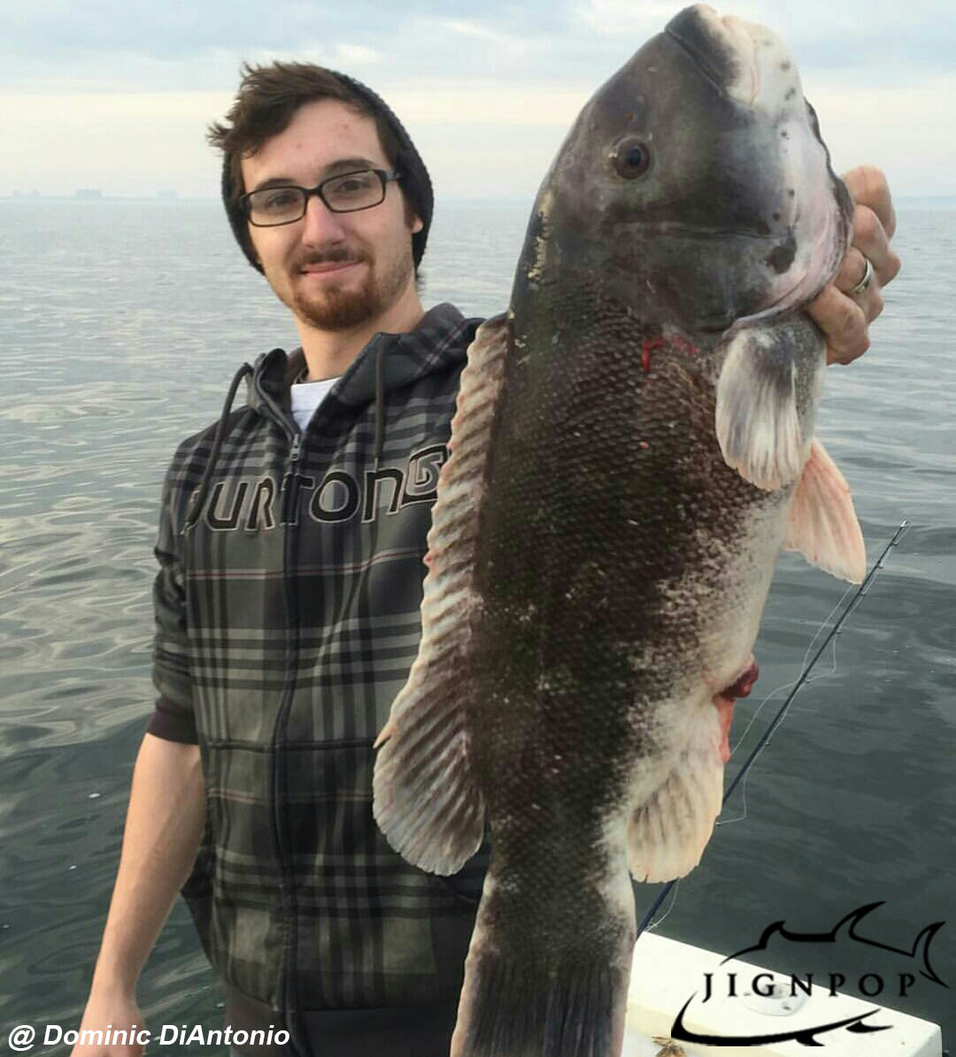 1/7/16: Nice Blackfish by Dominic DiAntonio! - JIGNPOP