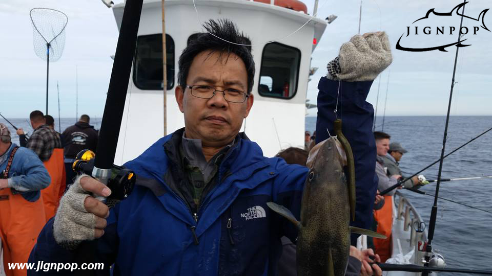 12/28/15: More in stock! Cod Teasers by Bill Hurley! - JIGNPOP