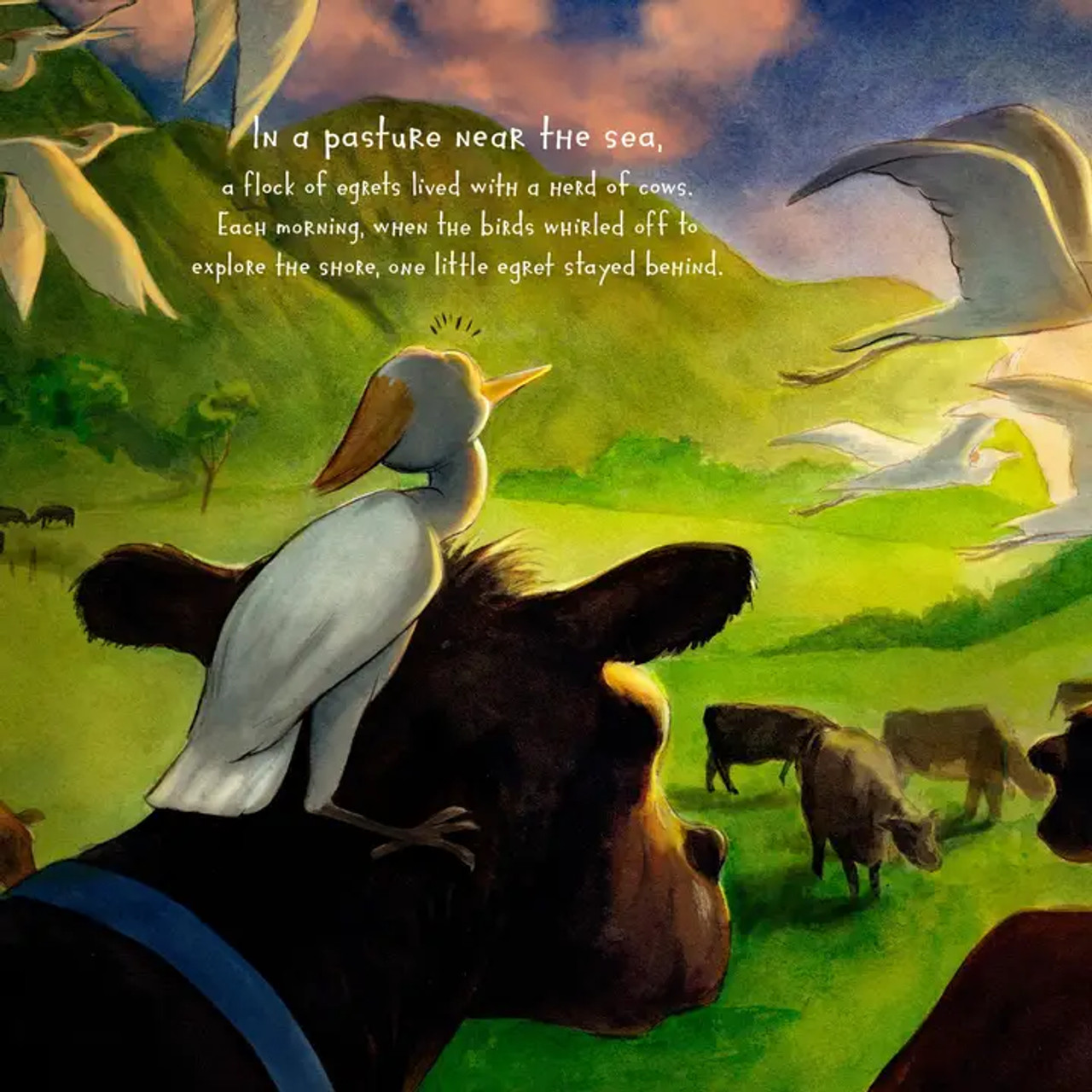 WHERE'S MY COW? BOOK - FRINGE WESTERN WEAR