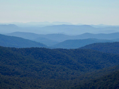 Wingstem - Great Lakes Sacred Essences