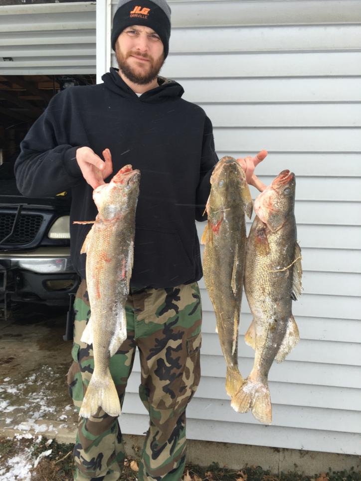 More 2016 Trophy Lake Erie Walleyes - Walleye Tackle Store