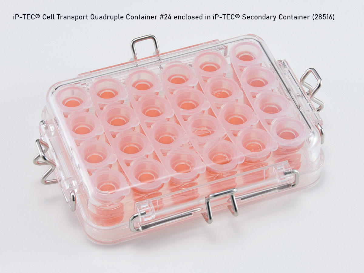 iP-TEC® Cell Transport Quadruple Container #24