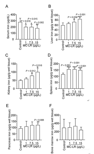 Iron Colorimetric Assay Kit
