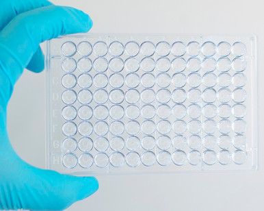 Streptavidin Microplate 96 Wells - CLIA | 153MM | monobind