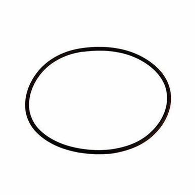 Mercedes-Benz SL 113 Lower Seal Ring For Fuel Pump 0109975045