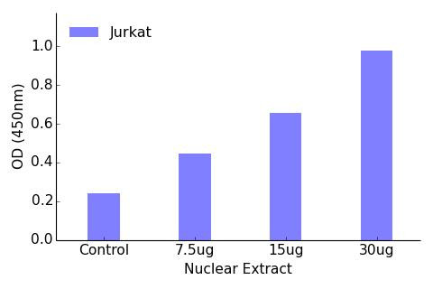 RFX2 Transcription Factor Activity Assay (TFAB00156)