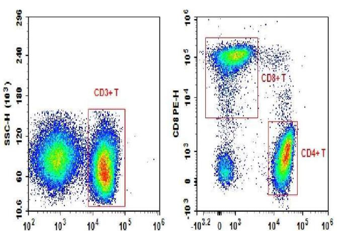 Anti-Human CD3-APC/CD4-FITC/CD8a-PE Cocktail | Assay Genie