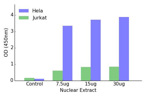 TEAD3 Transcription Factor Activity Assay (TFAB00175)