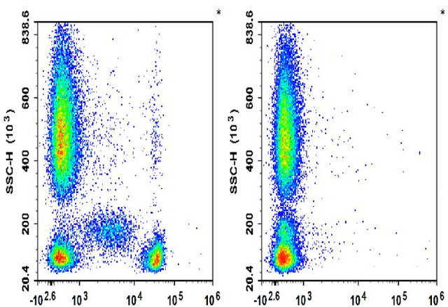 APC Anti-Human CD4 Antibody [SK3] | Assay Genie