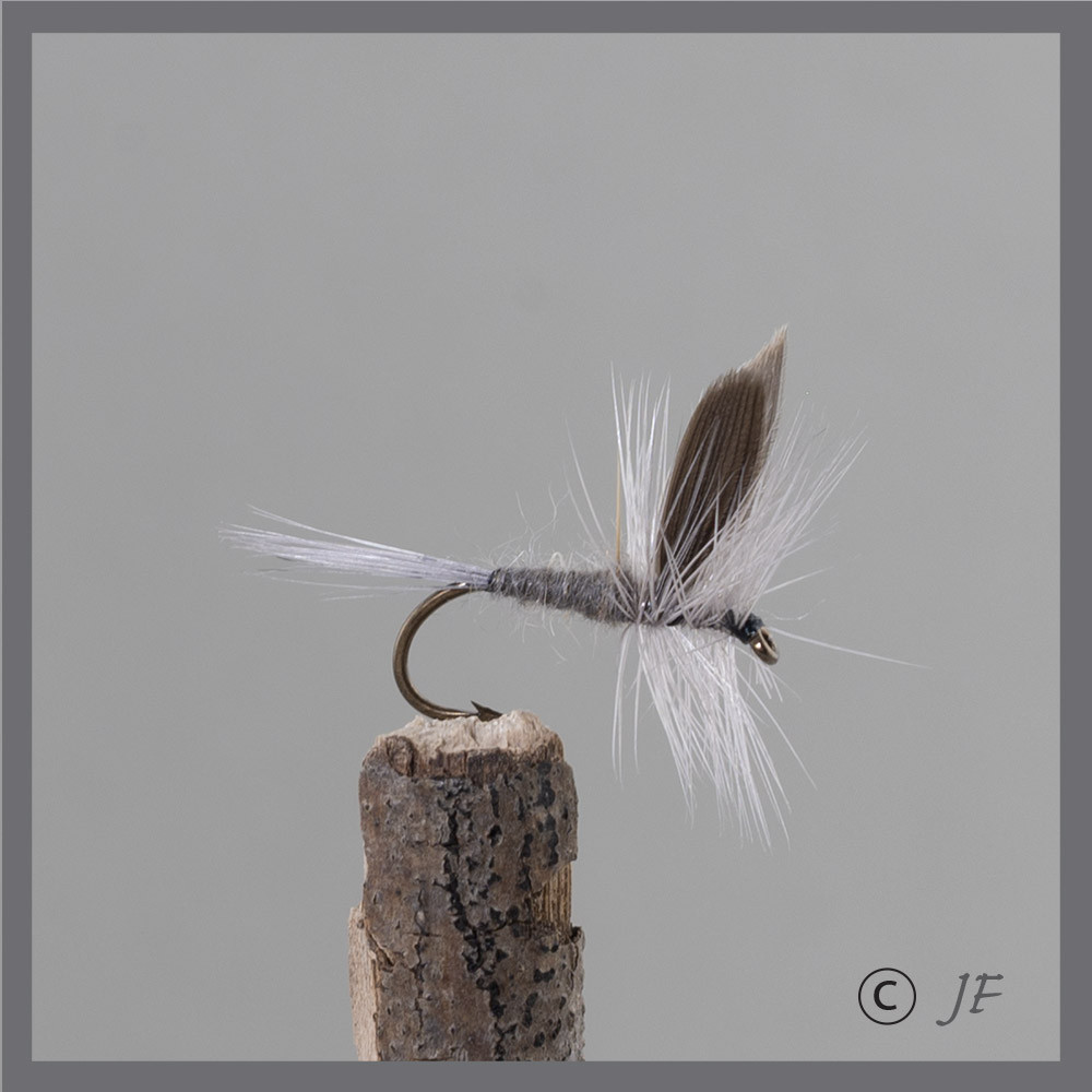 Blue Dun - Armadale Angling