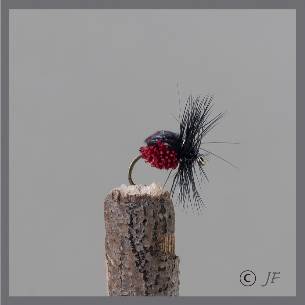 Jassid - Armadale Angling