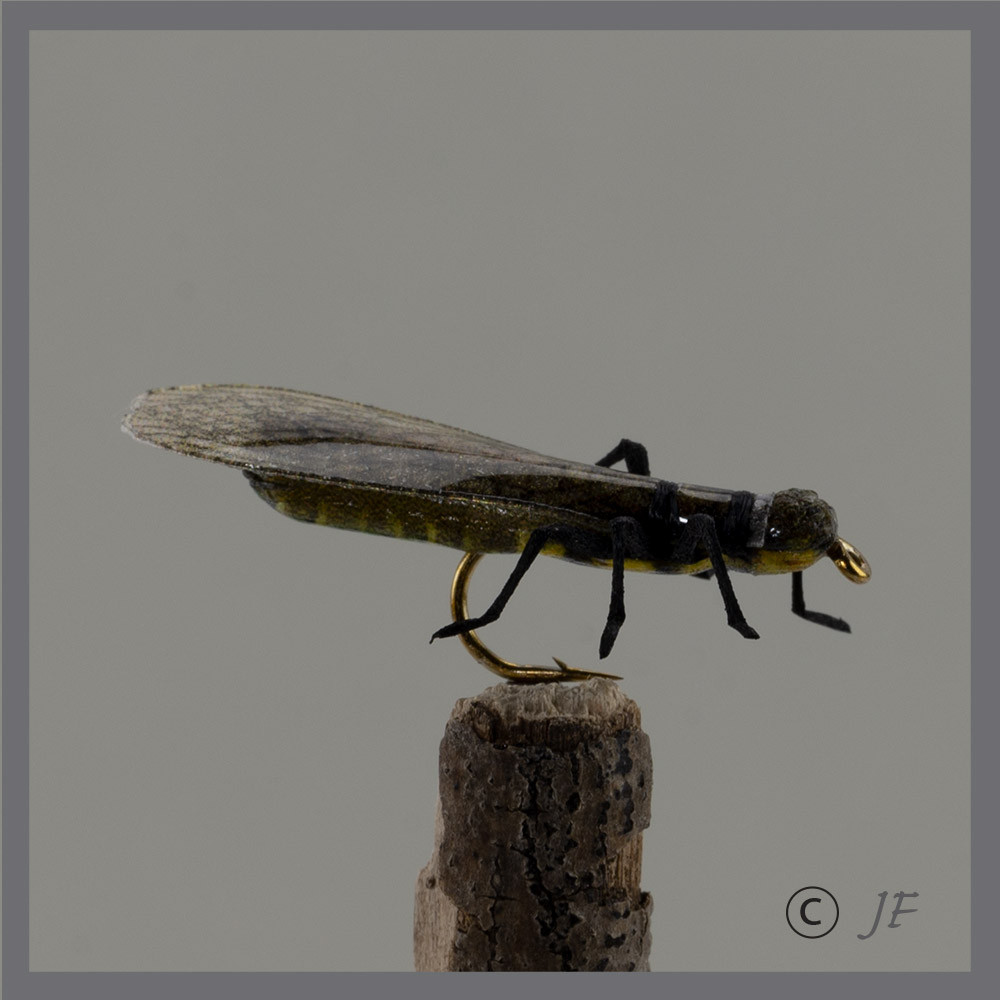 True Skwalla Dry Fly - Armadale Angling