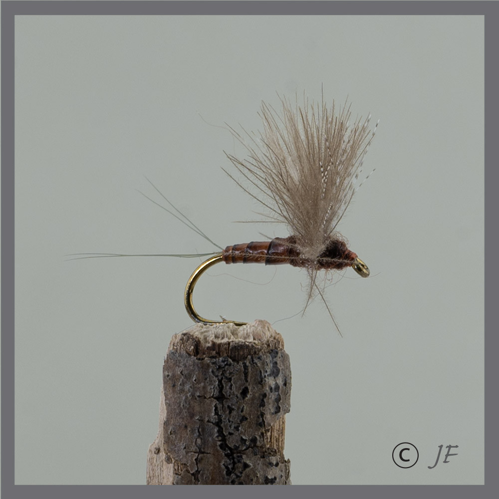 CDC Biot Comparadun Mahogany - Armadale Angling