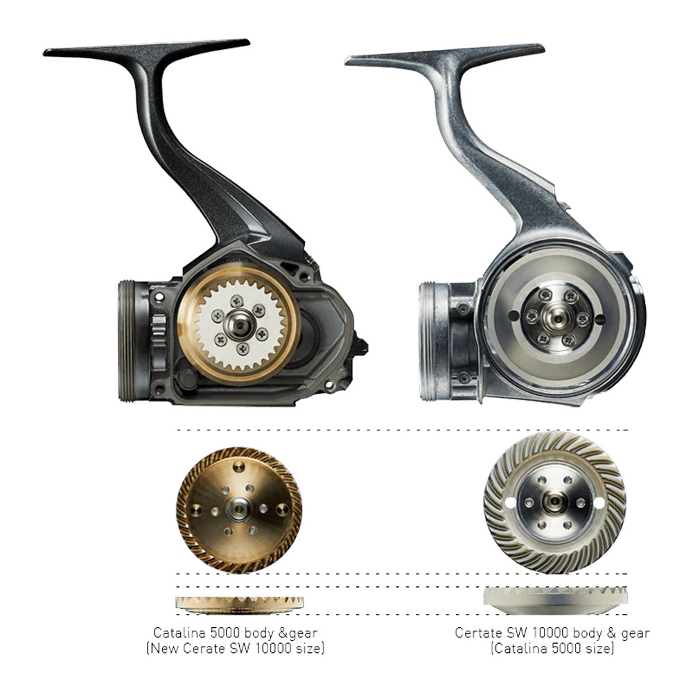 Daiwa 21 Certate SW 8000-H - Armadale Angling