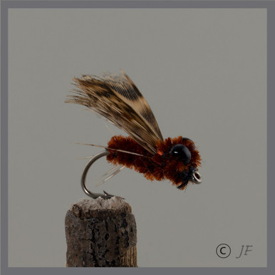 Spider Mudeye Brown Fishing Fly Armadale Angling