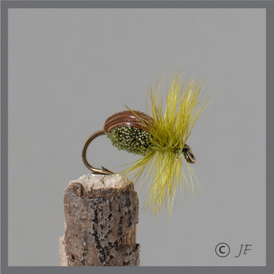 Green Beetle - Armadale Angling