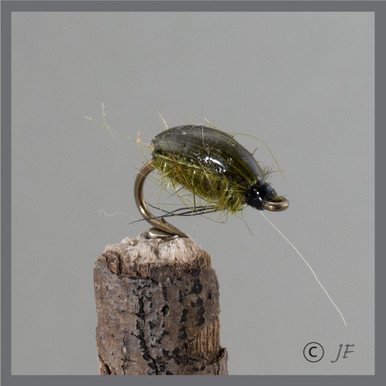 Green Water Beetle - Armadale Angling
