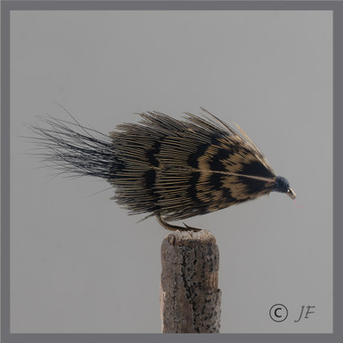 Mrs Simpson Light - Armadale Angling