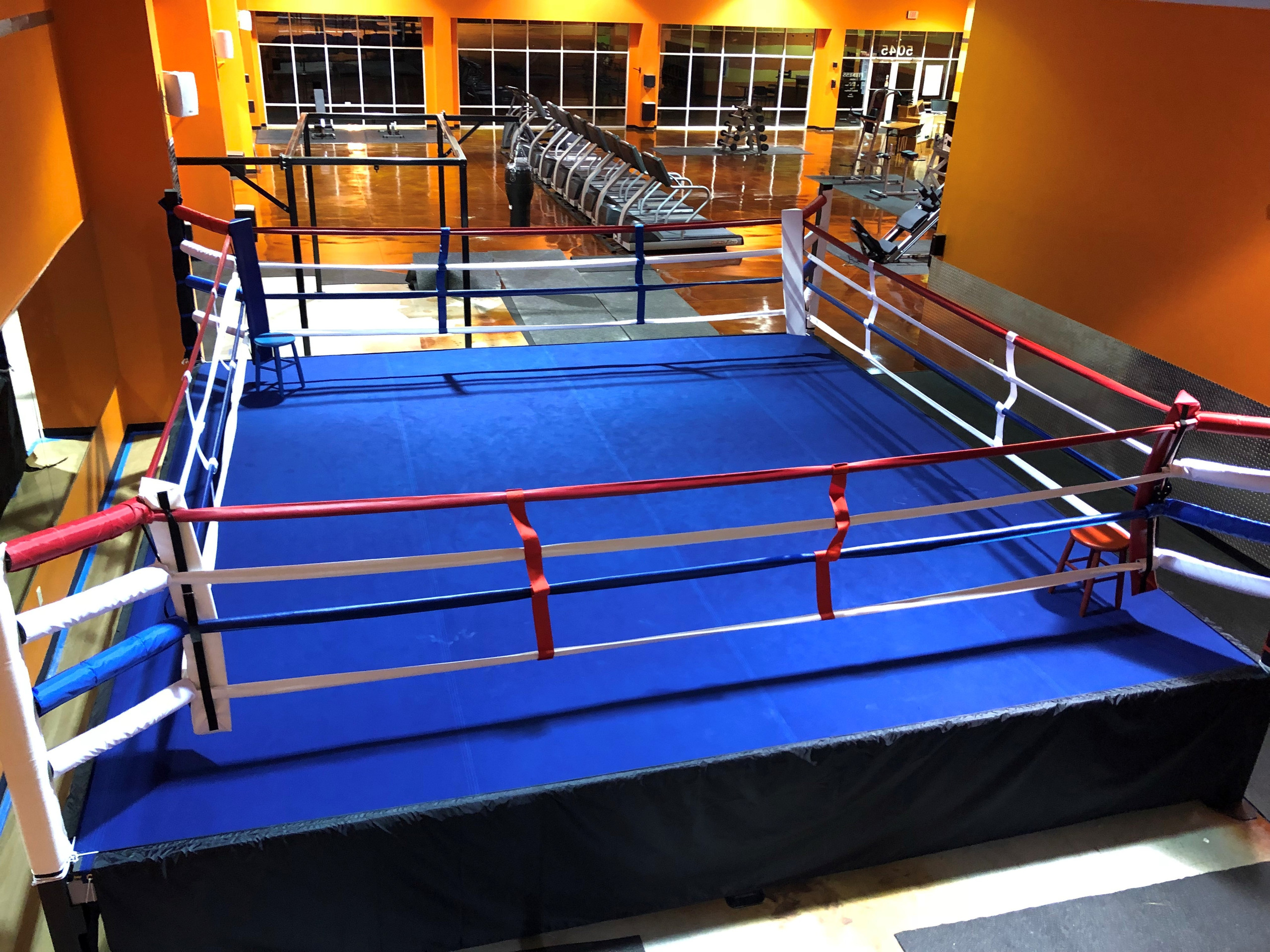 PRO COMBAT Professional Boxing Ring | PROLAST.com