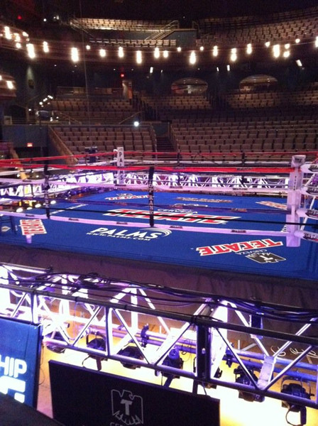 PROLAST Profesional Boxing Ring - Prolast