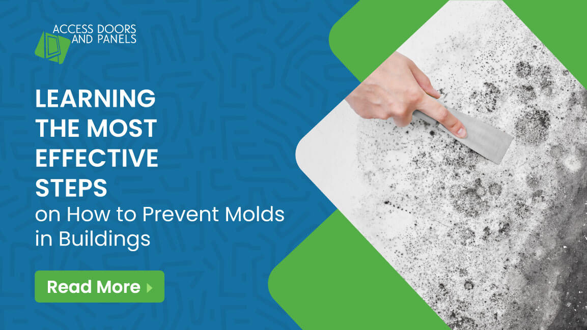Learning the Most Effective Steps on How to Prevent Molds in Buildings ...