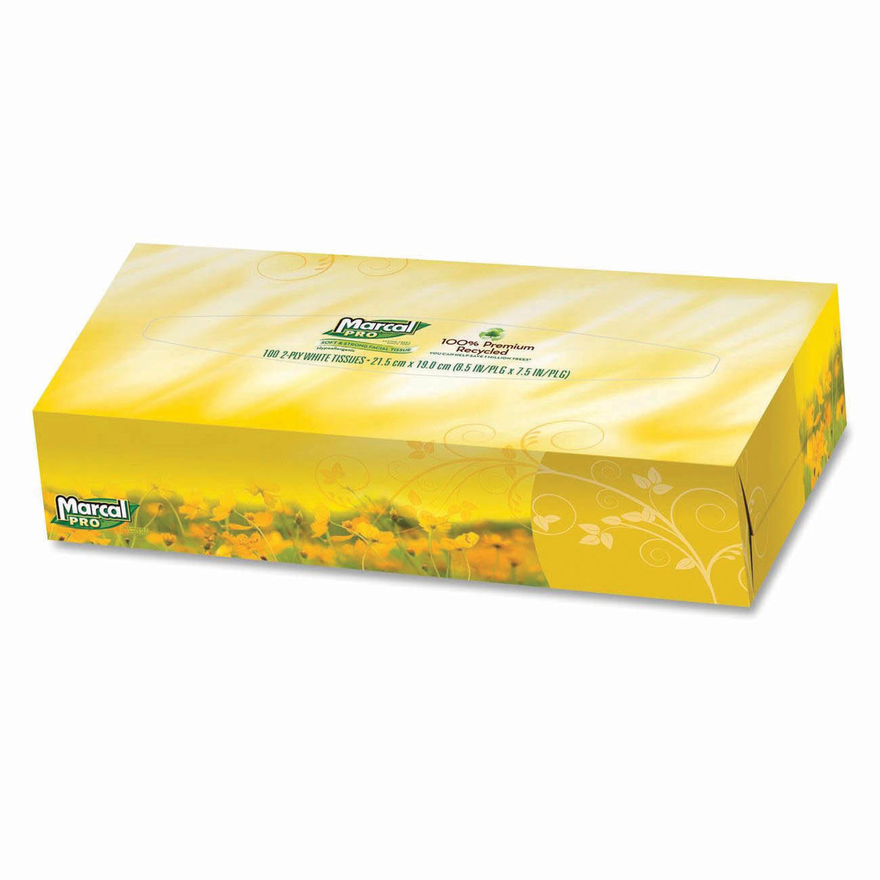 Facial Tissue - Boss Beauty Supply