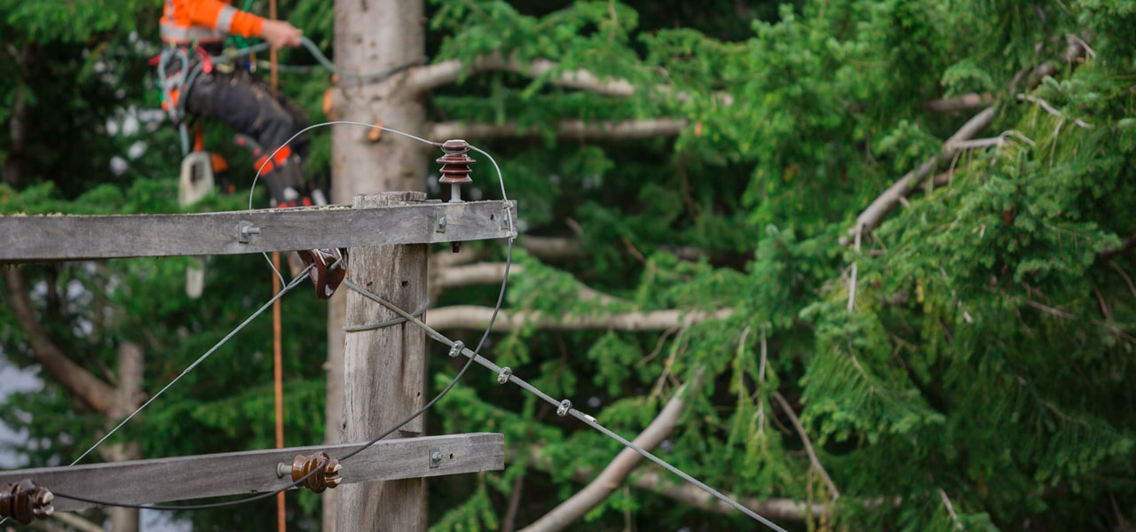 Clogger Official US Site - Cooler | Safer | Easier to Work In Chainsaw ...