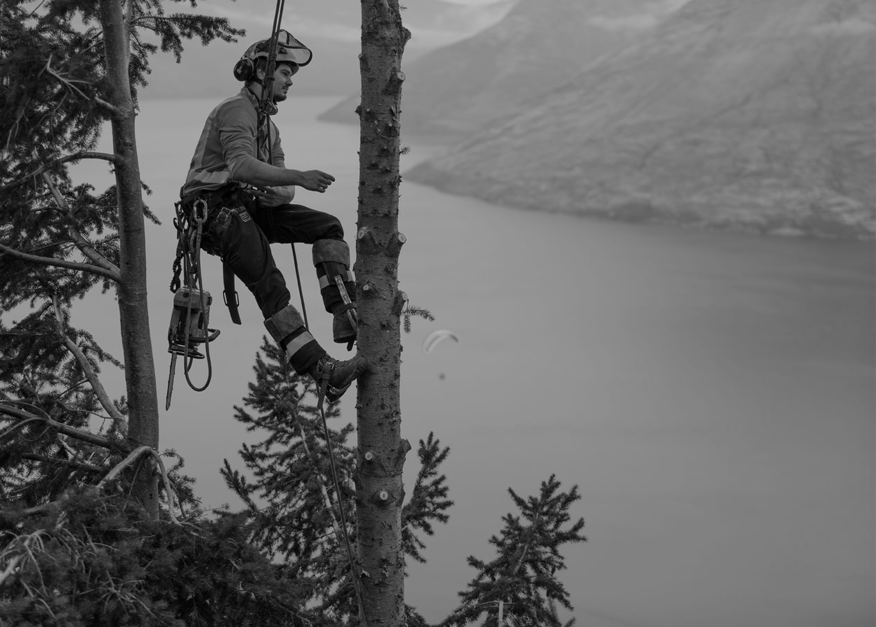 Clogger Official US Site - Cooler | Safer | Easier to Work In Chainsaw ...