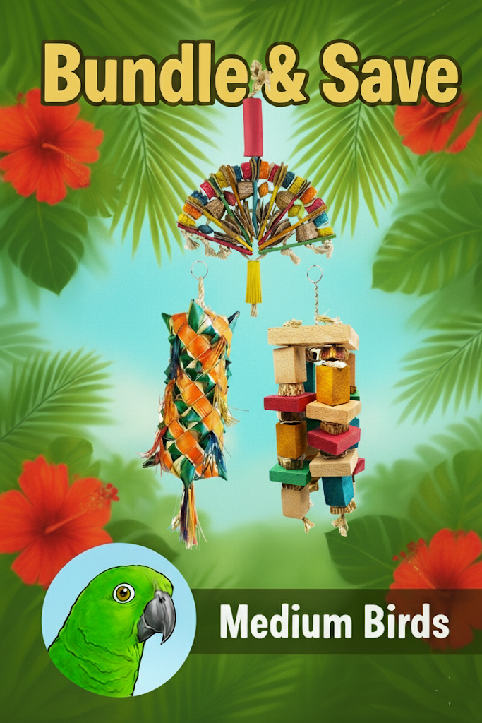 Fun Bundle Medium Birds - Planet Pleasures