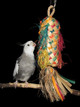 Spiked Pinata Shredder Bird Toy | Planet Pleasures