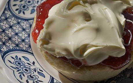 Double Devon Cream 6oz jar - The British Shoppe