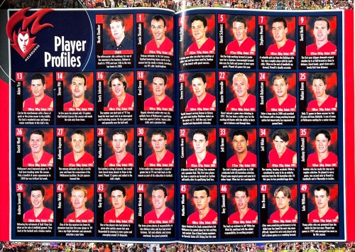 2000 ESSENDON V MELBOURNE Grand Final Football Record