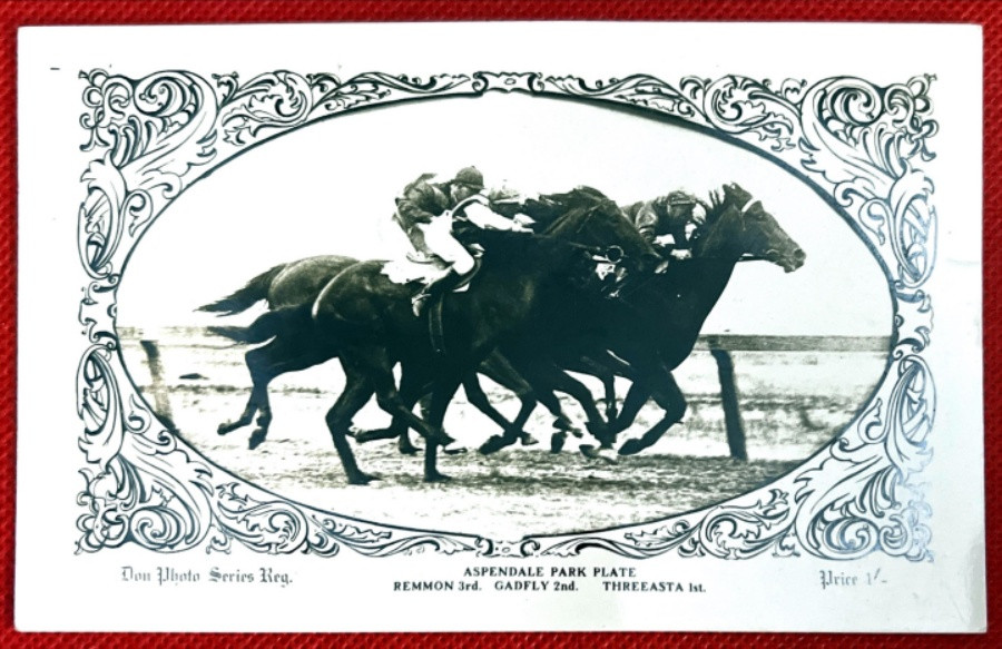 1920s Dons Photo Series ASPENDALE PARK PLATE Postcard