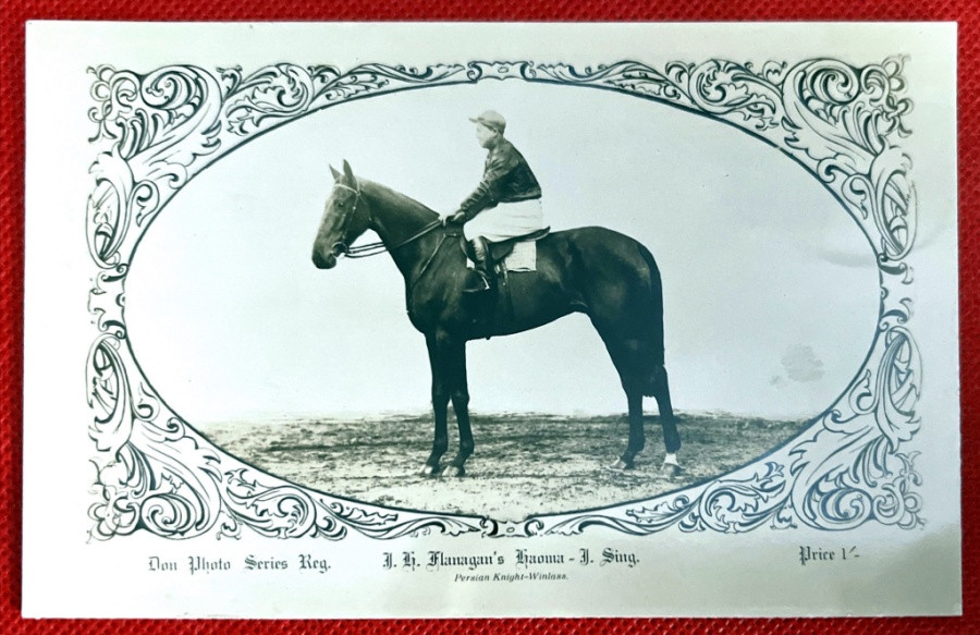1920s Dons Photo Series J.H.Flanagan's HAOMA J SING Postcard