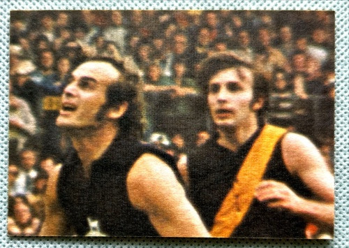 1973B SERIES VFL SCANLENS CARD #58 MIKE WOOLNOUGH GEELONG CATS