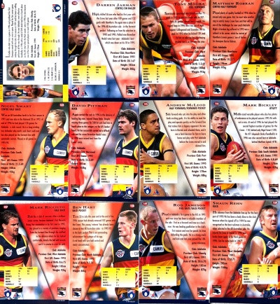 1995 AFL Select Series 1 FITZROY LIONS Base Team Set